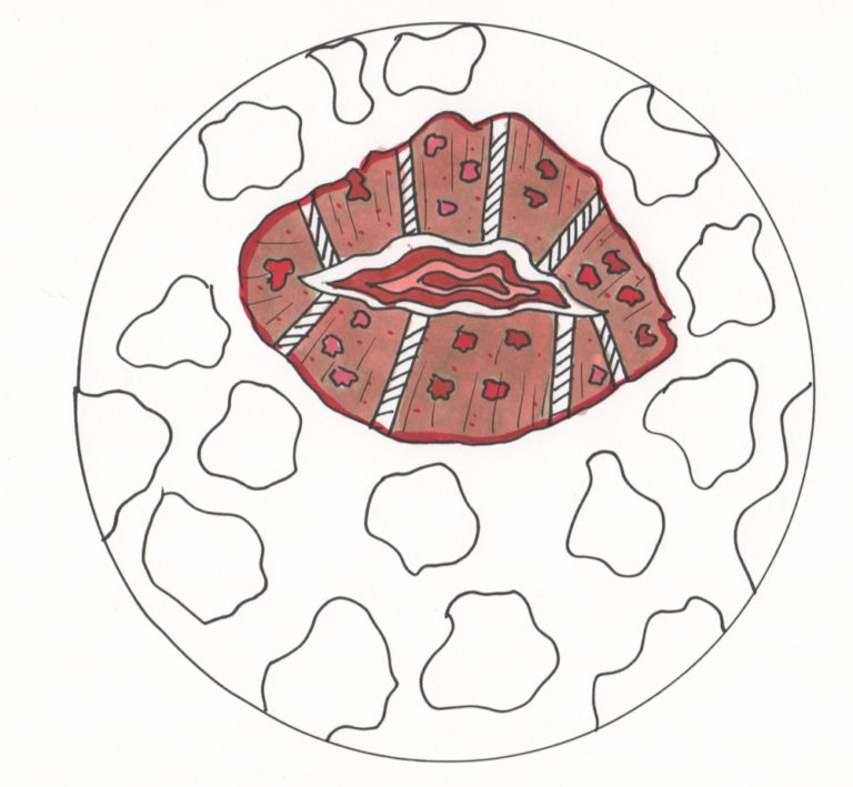 Holy Wednesday Prayers for the World - Praying in Color